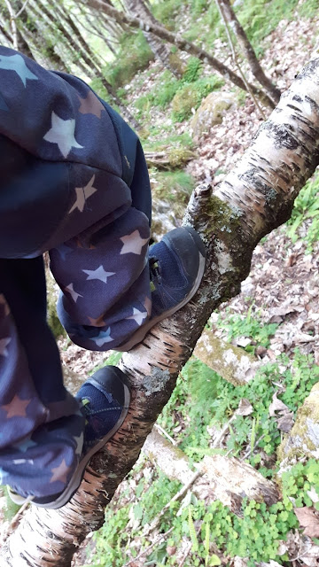 TRYGGHEIM BARNEHAGE VATNE: Skogen sitt rom for motorisk utfordring og ...