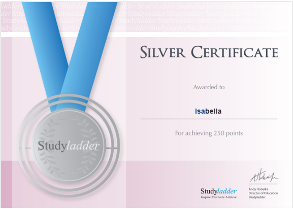 Room Twelve Rocks @ Koraunui School: Study Ladder Certificate Avalanche