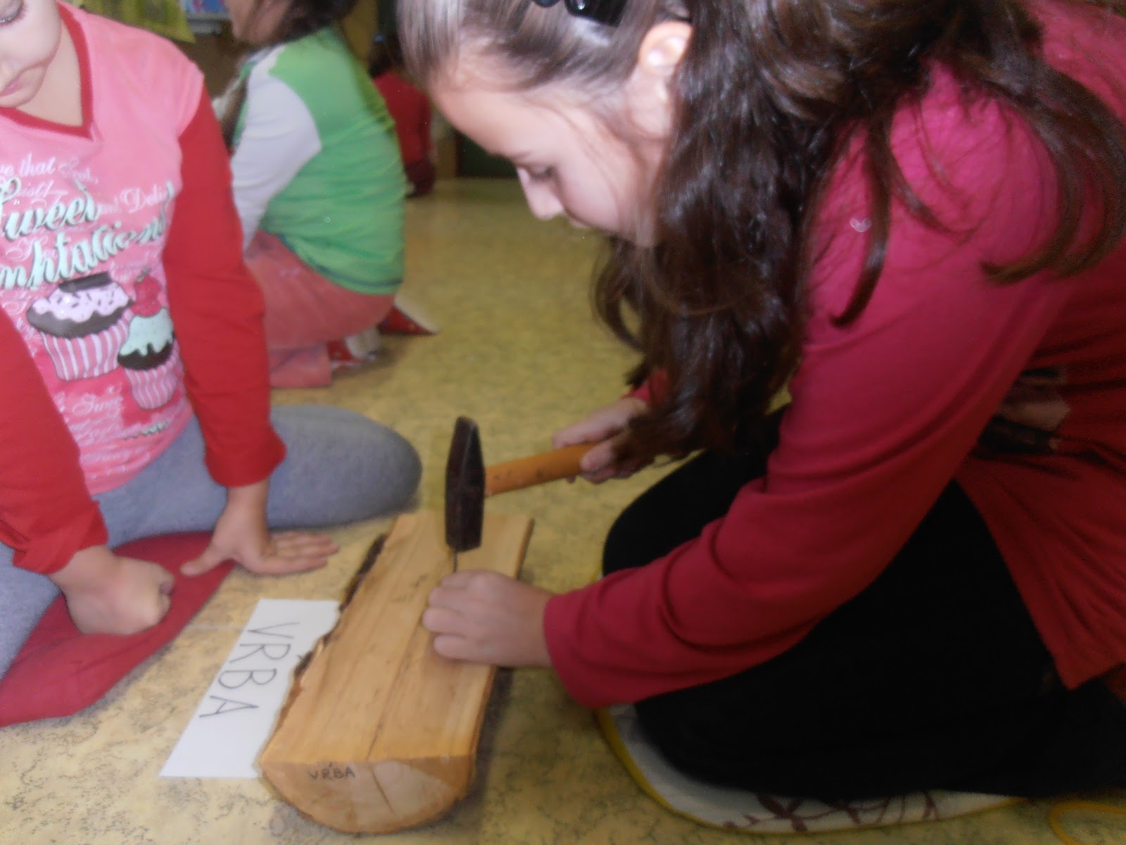 Tajomstvá stromov: Ktorý strom má najtvrdšie drevo?