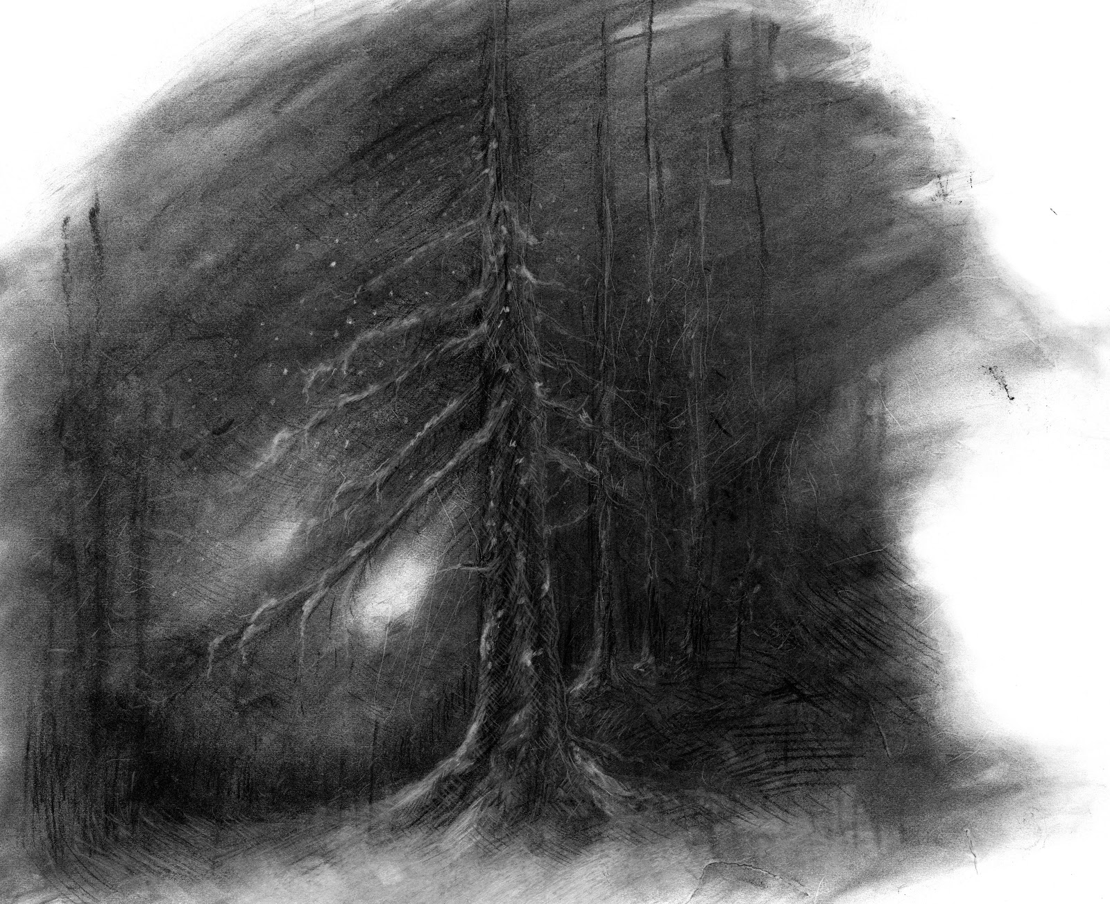 Fire In Fog: Drawings for "Skogtatt"