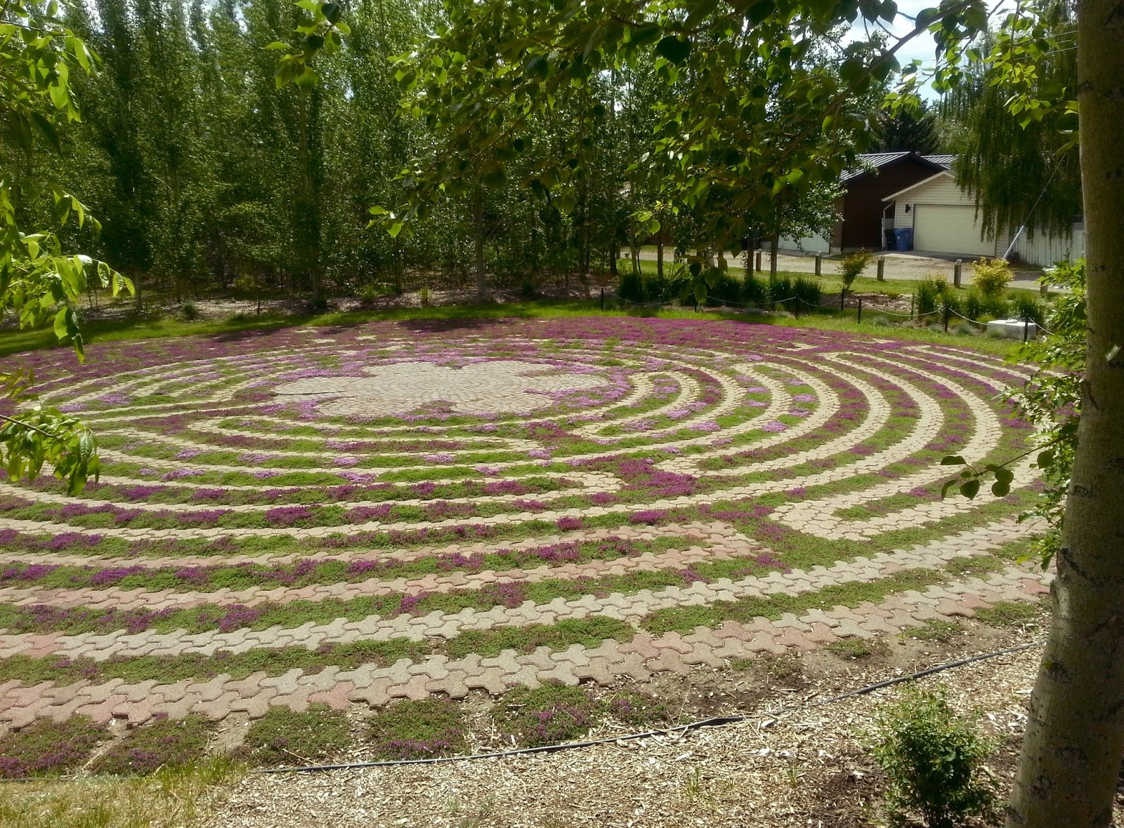 Walking Calgary: Silver Springs Botanical Garden