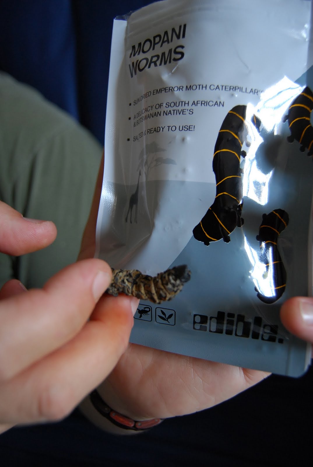 Ken Albala's Food Rant: Mopani Worms