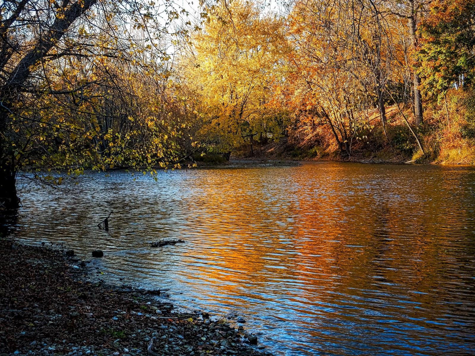 Photography by Richard Bublitz, New Berlin, Wisconsin: November Stroll ...