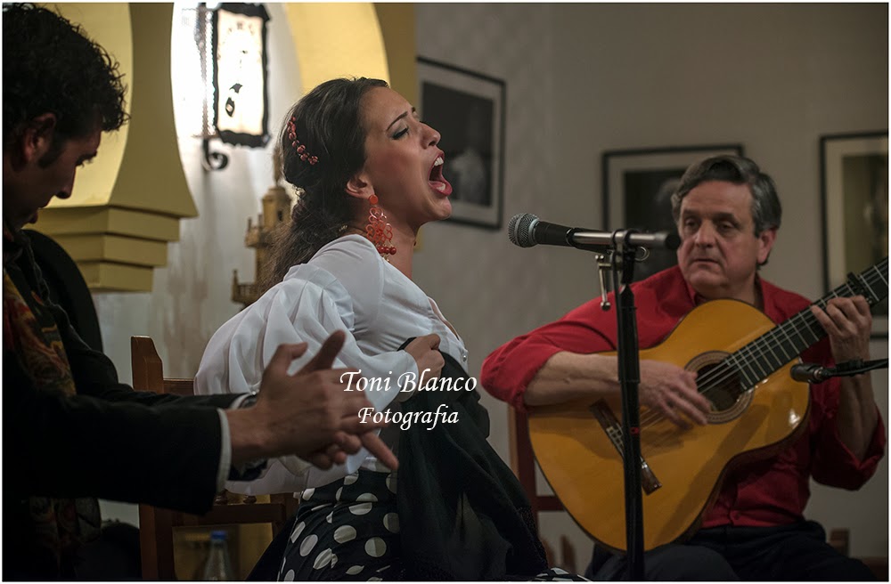 Toni: Peña Flamenca El Rincón del Cante, Córdoba