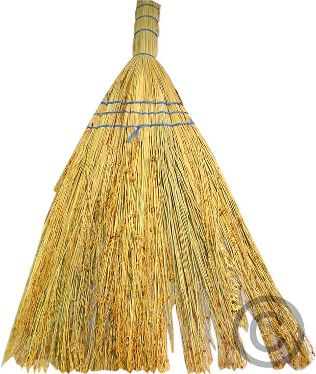 .: It Starts with a Broom