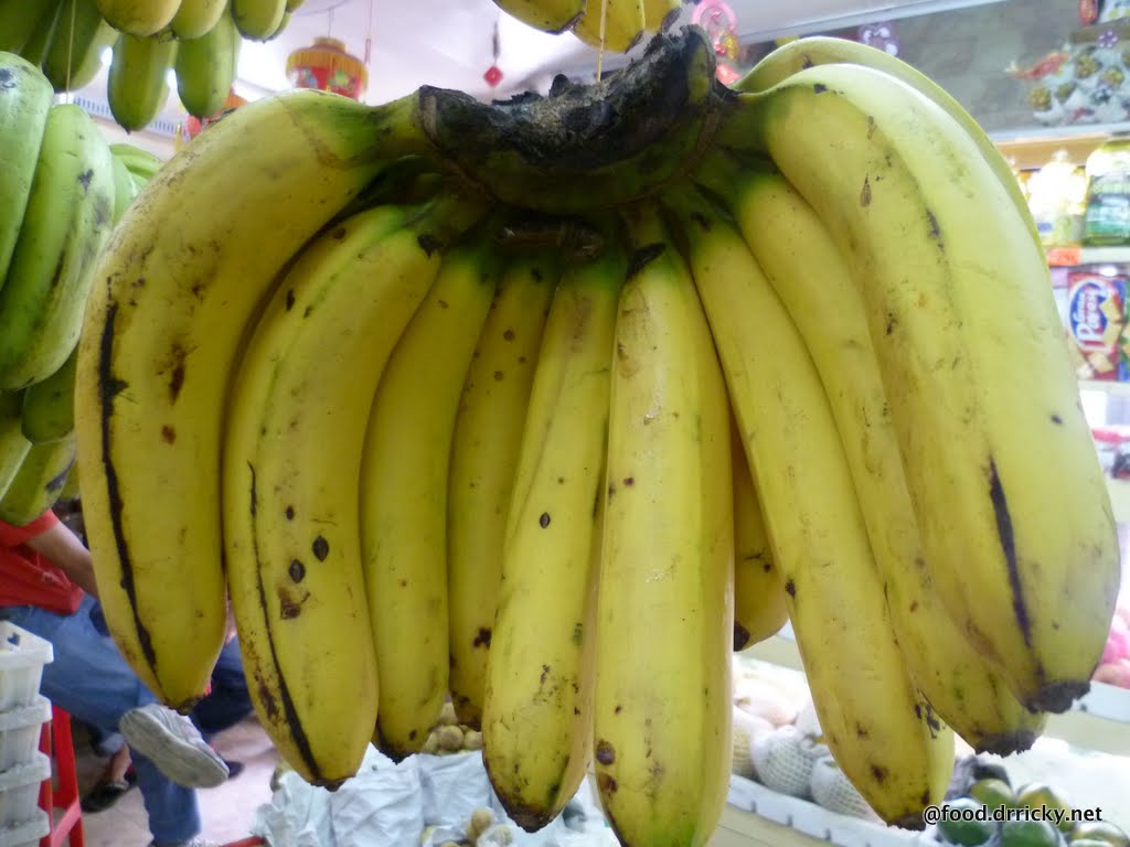 lakatan - philippin news collections