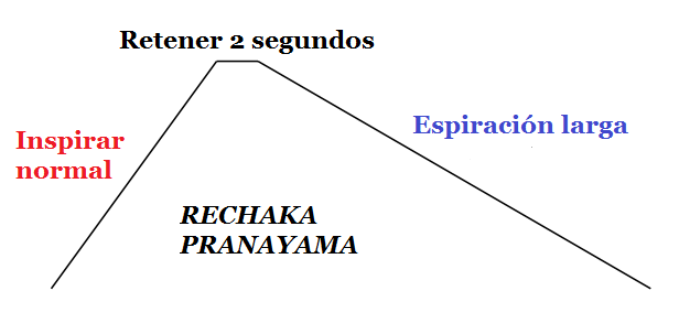 RECHAKA PRANAYAMA | YOGA en CASA