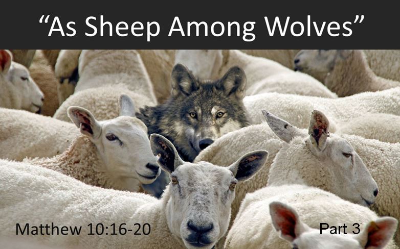 Pastor Chris' Blog: As Sheep Among Wolves, part 3 - Vindicated vs. Ungodly
