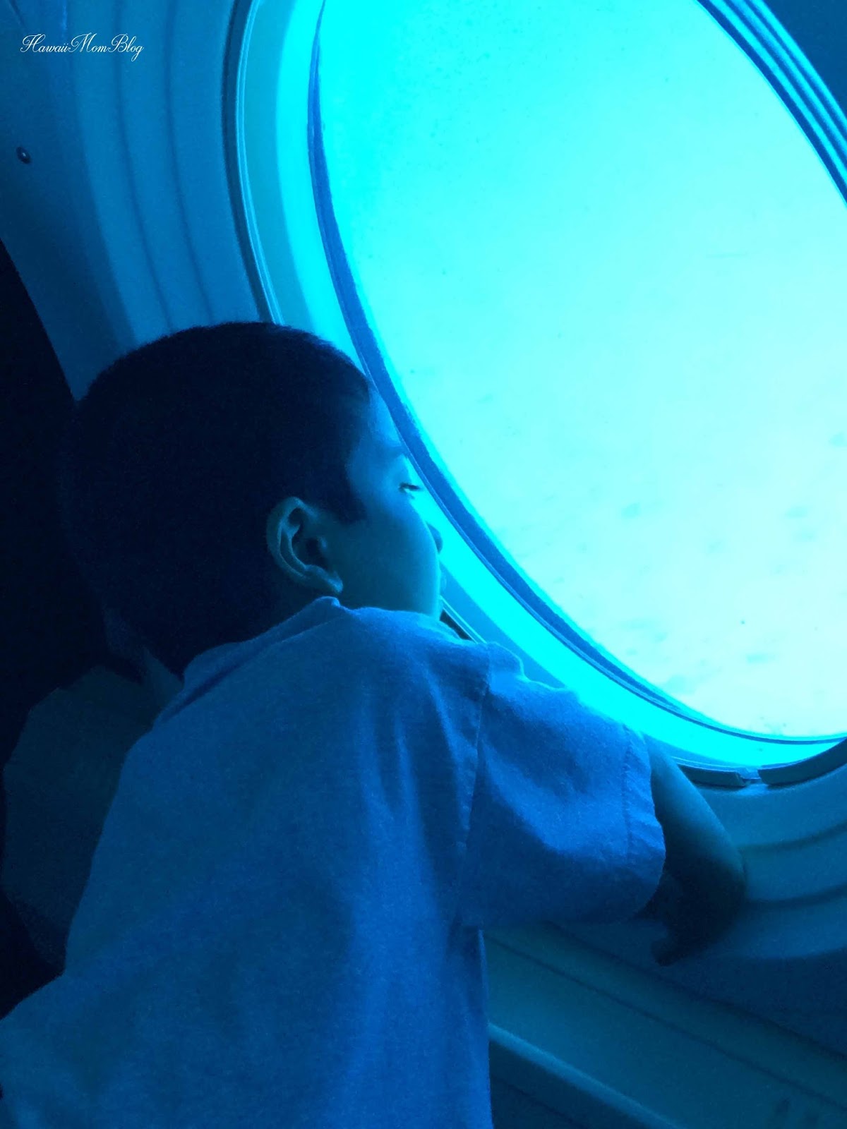 Hawaii Mom Blog: Atlantis Adventures - Premium Submarine Tour