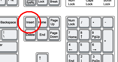 Overwriting text when typing in word online - lasopathailand
