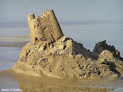 Next Generation Evangelistic Network: House Built on Sand