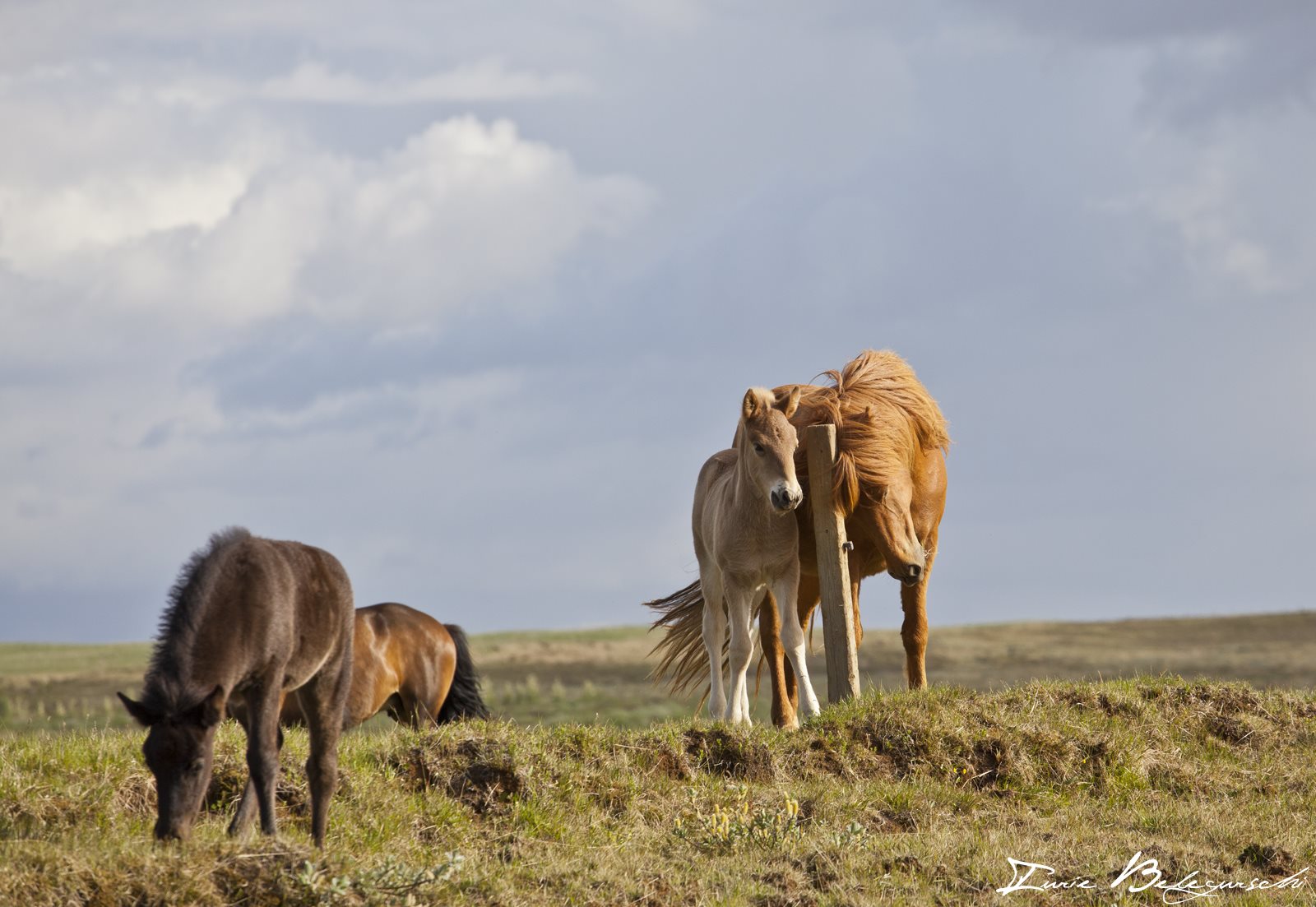 Save Our Beautiful Mother Nature: Beautiful Nature