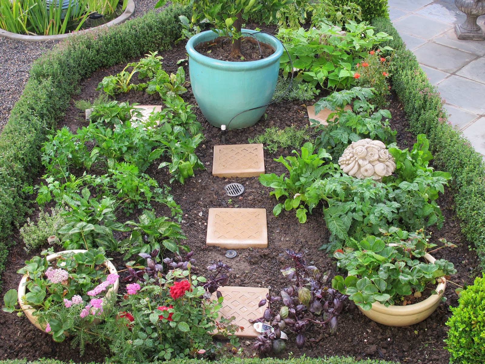 Ciao Domenica: Kitchen Gardens and Culinary Heroes