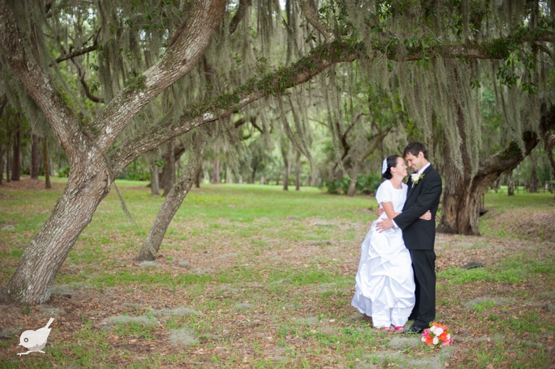 Valerie Joy Photography: Mennonite Wedding . Sarasota Wedding Photographer