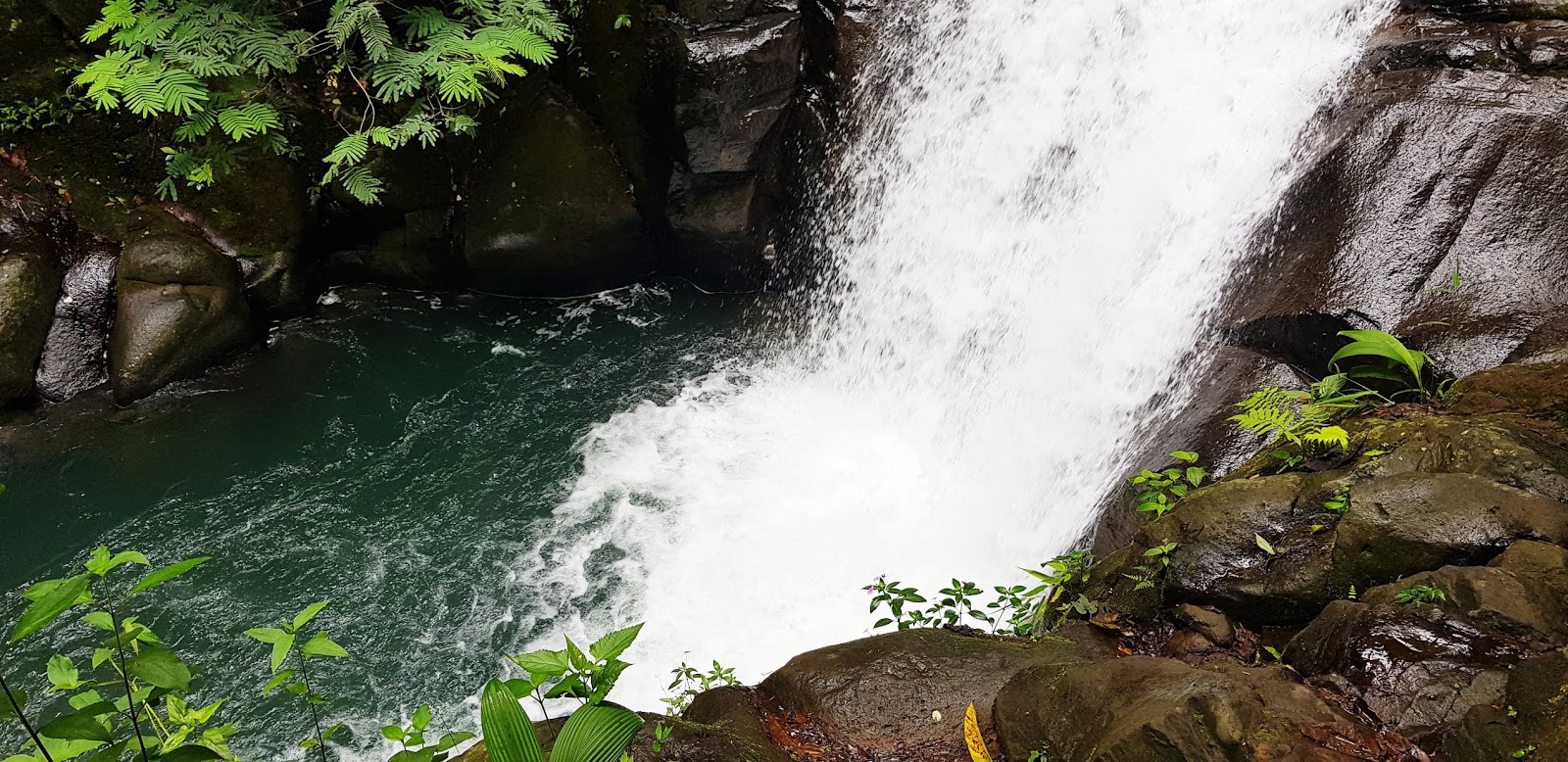 Hunting Curug di Puncak Bagian 4: Curug Pariuk, Curug Naga dan Curug Barong