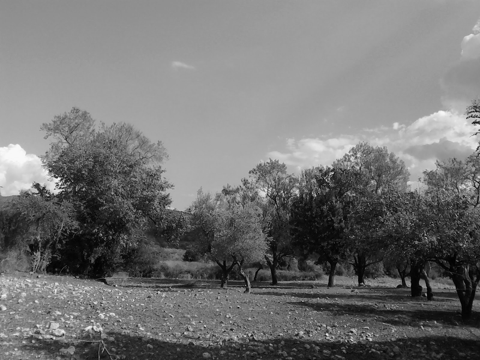 ART POETICA Couvelis: ΜΑΧΑΙΡΑ ΞΗΡΟΜΕΡΟΥ-ΦΩΤΟ-3 Τοπια,στη Μουρκοπουλου ...