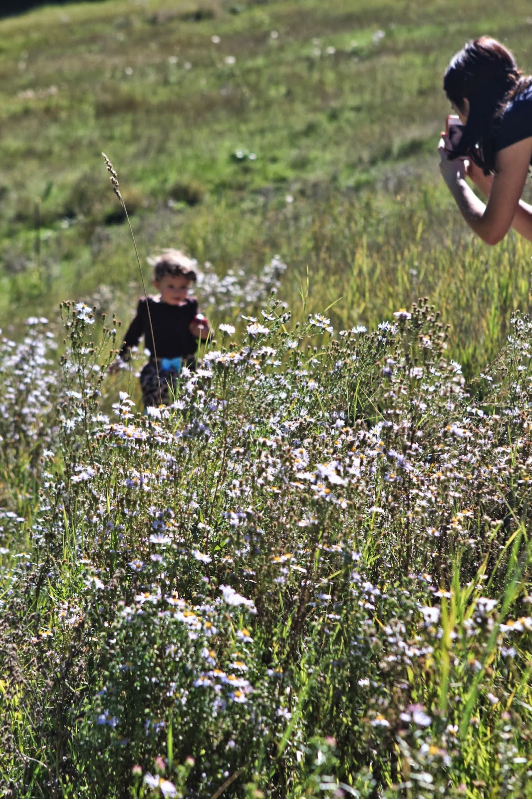 A Little Cuppa Tea: Fall: Sundance, Utah & Wyoming