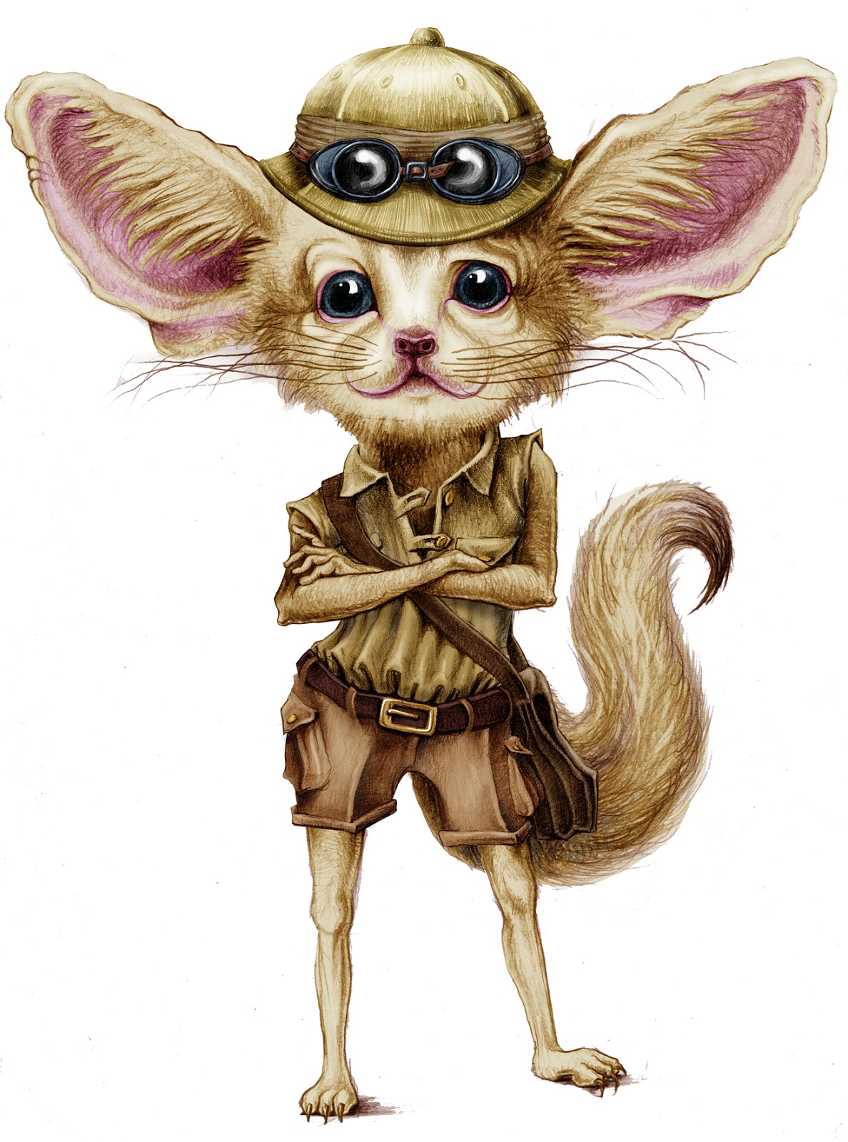 Alicja Kocurek ilustruje: Fenek/ Fennec