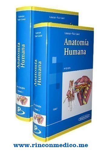 Descargar en: Rinconmedico.me: Anatomía Humana Latarjet, Ruiz Liard 4ª ...
