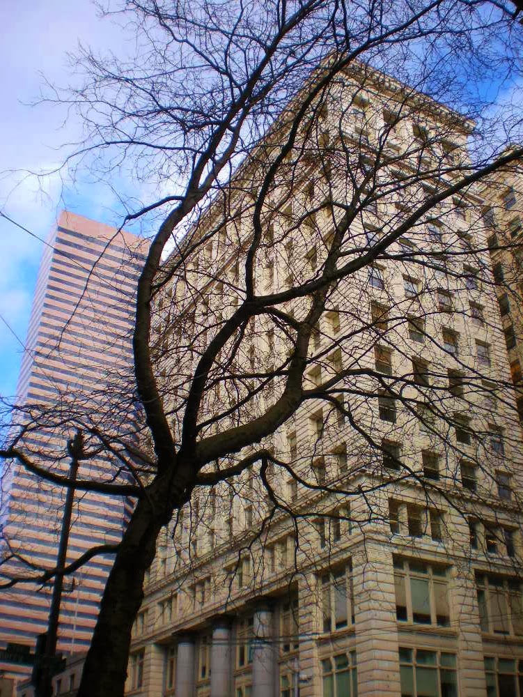 Urban Landscape, Native Landscape: February in Seattle