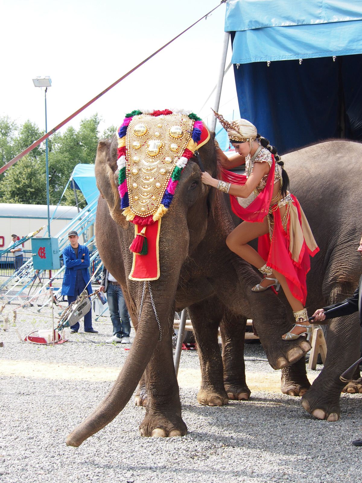 Circus -Collection: Circus Krone Constance 2012 (Konstanz) suite ...