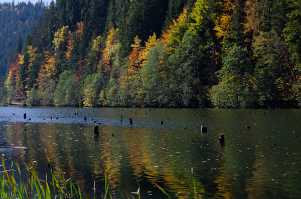 Discover Romanian Beauty: Red Lake (Lacul Rosu)