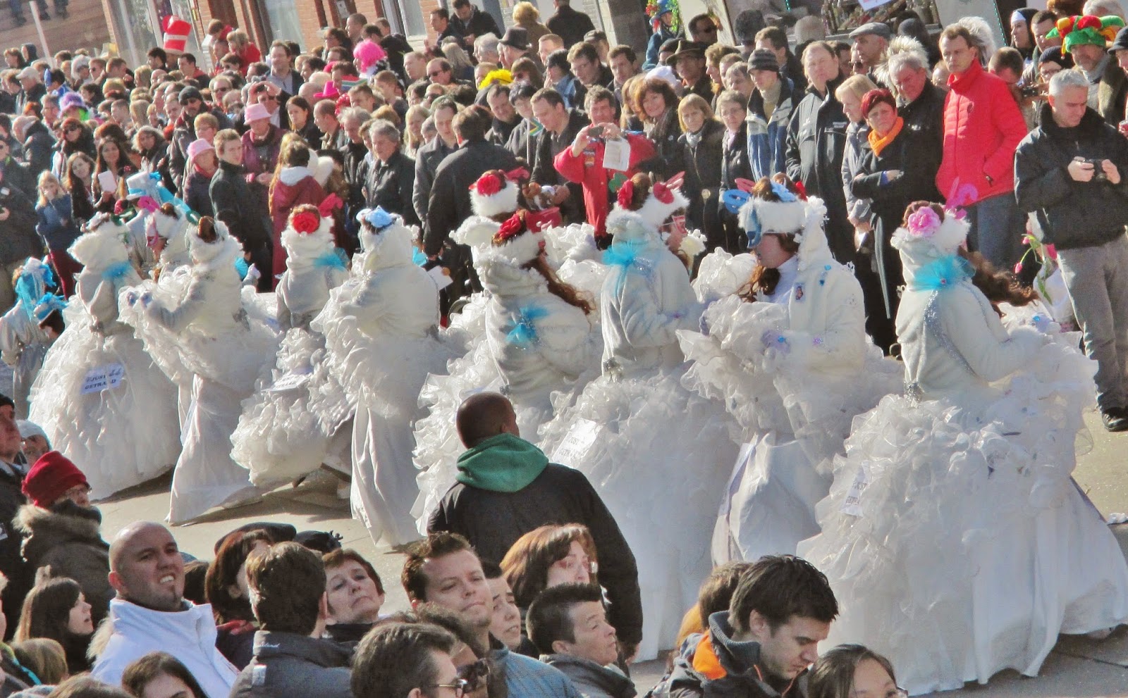 Carnaval Aalst foto- en videoblog: Groep in de kijker: AKV Allei-Joep