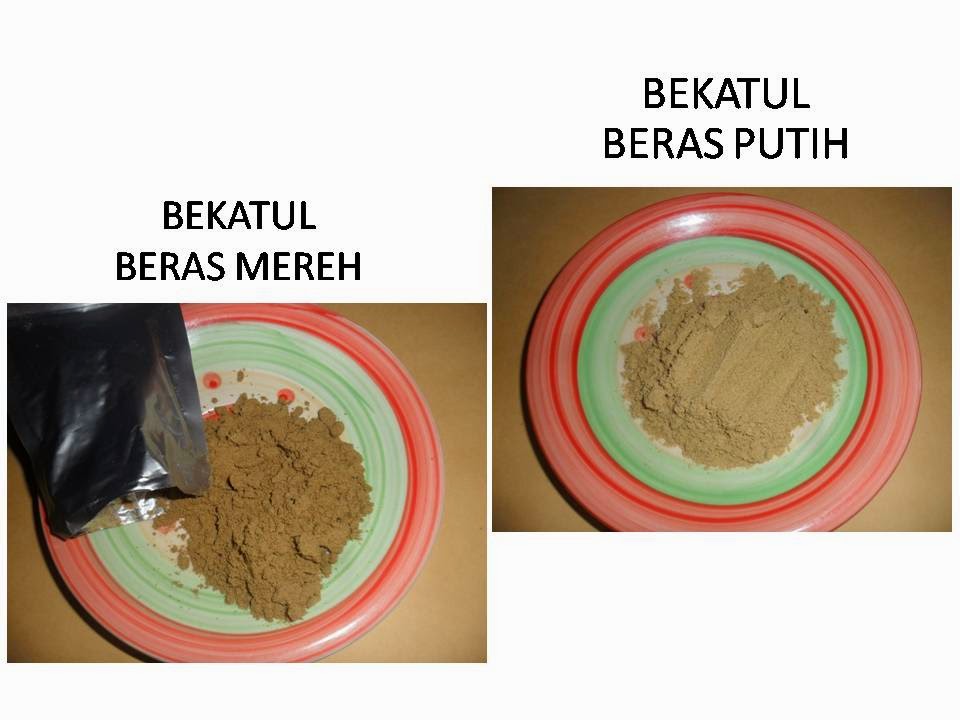 RICE BRAN NATURAL FOOD: BEKATUL KESEHATAN SEMAKIN DIBURU ORANG