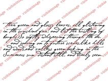 Inky Kim Craft: Visible Image Wednesday