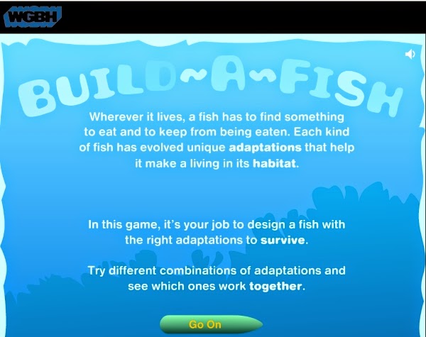 Warren Sparrow: Build a fish interactive