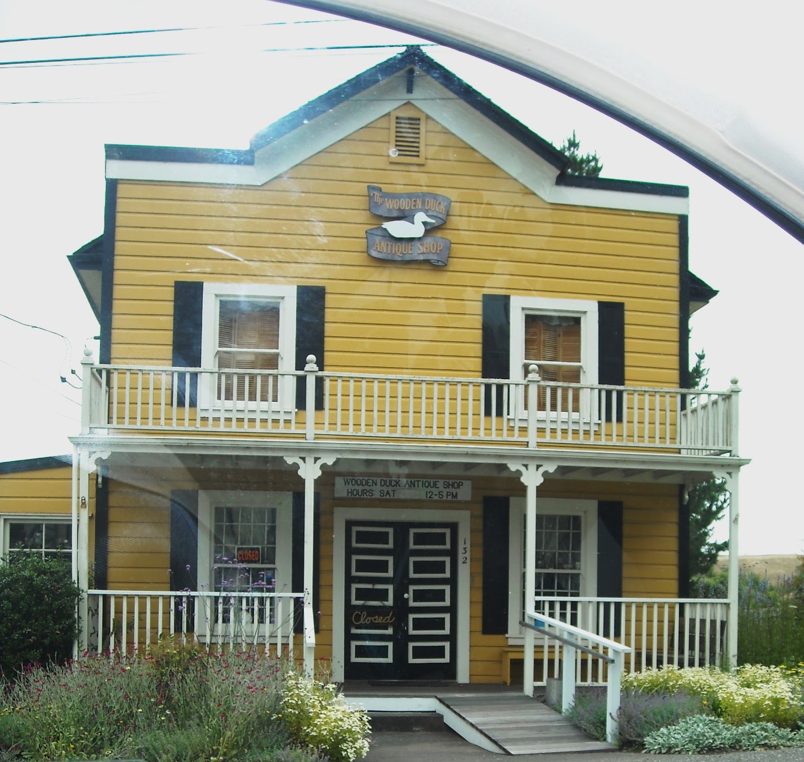 A Sunday Daycation To Remember. Part 2. Bodega CA. | Ruby's Musings