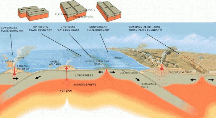 Biology and Geology 4: Unit 7: Plate tectonics