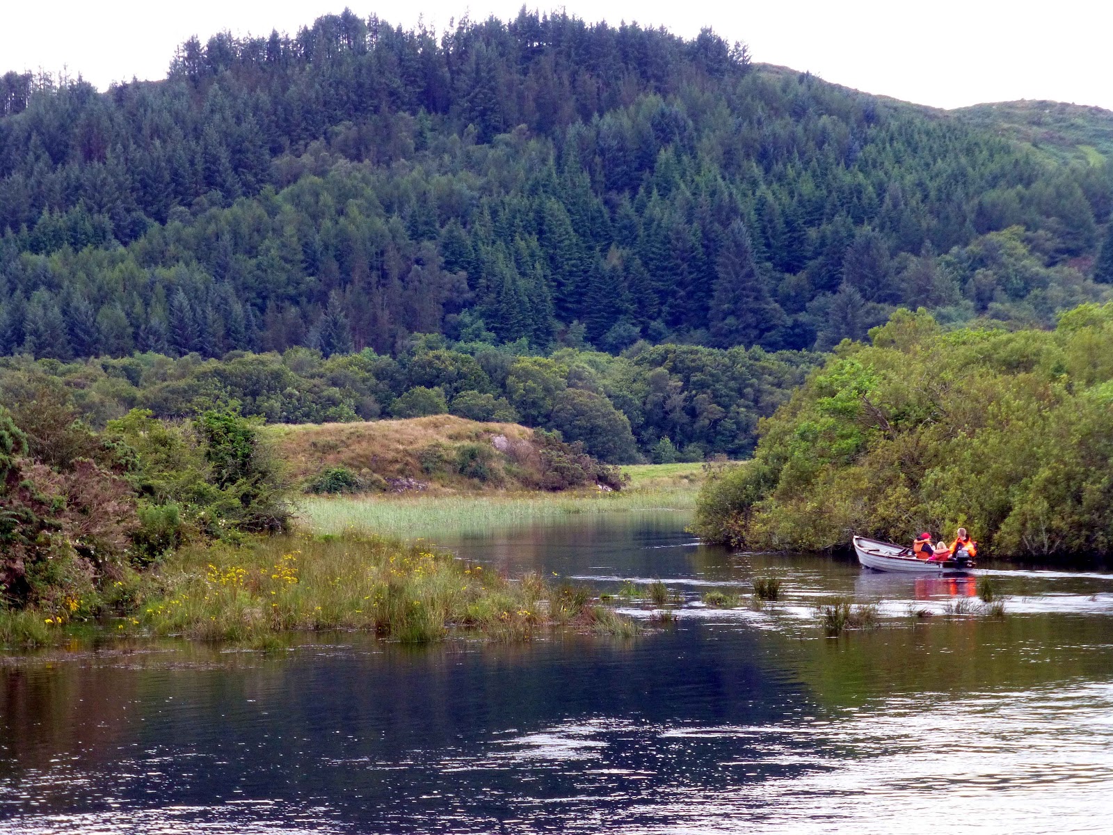 The Many Attractions of Driving the R584