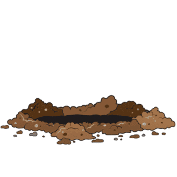 Fly me to the broom: Let's plant