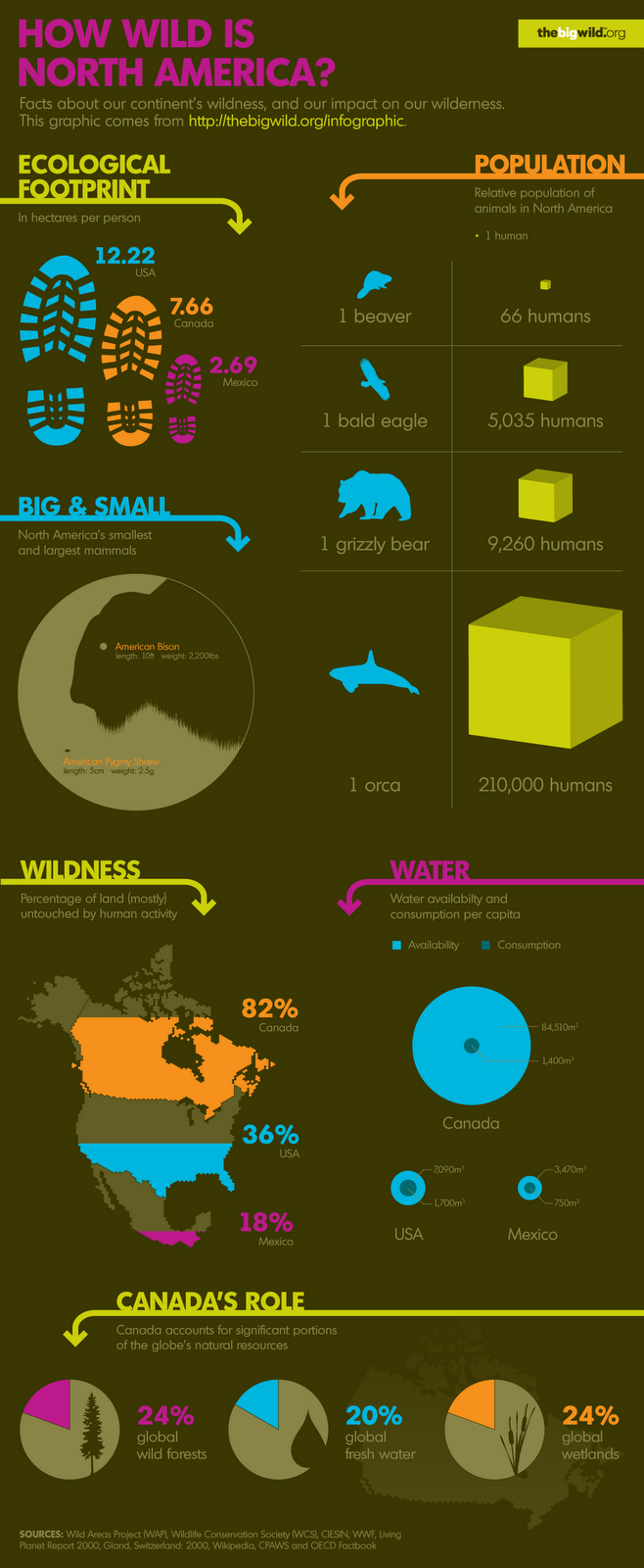 TheLogoBuzz: The Rise of Infographics