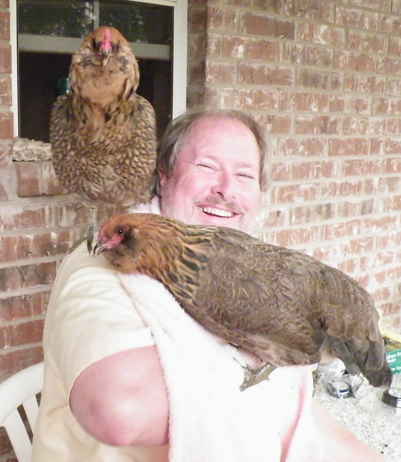 Woodbury World: Ruby and Opal Woodbury: Warrior Cuddle Chickens