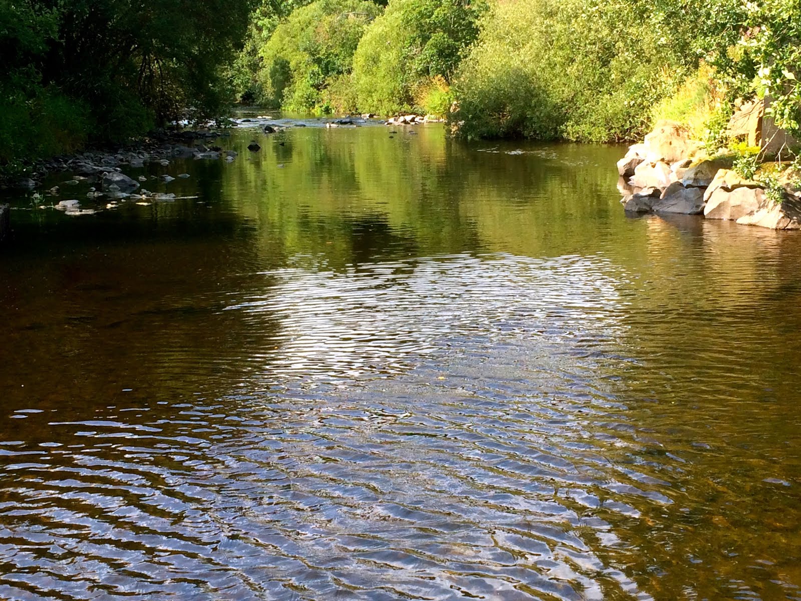Days out in the Borders : Whiteadder Water