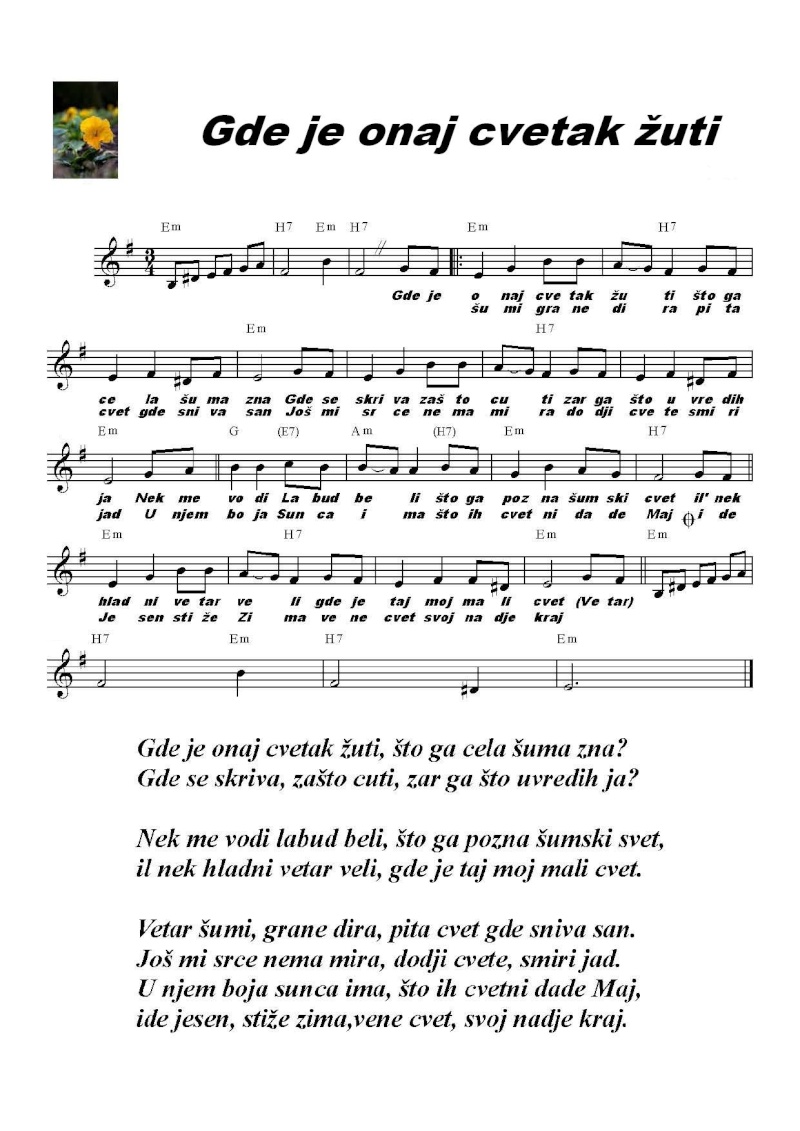 NOTE | DOMACE I STRANE: GDE JE ONAJ CVETAK ZUTI NOTE AKORDI