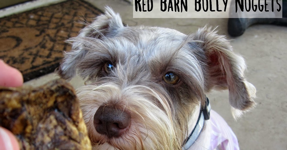 Review: Redbarn Bully Nuggets | The Chesnut Mutts