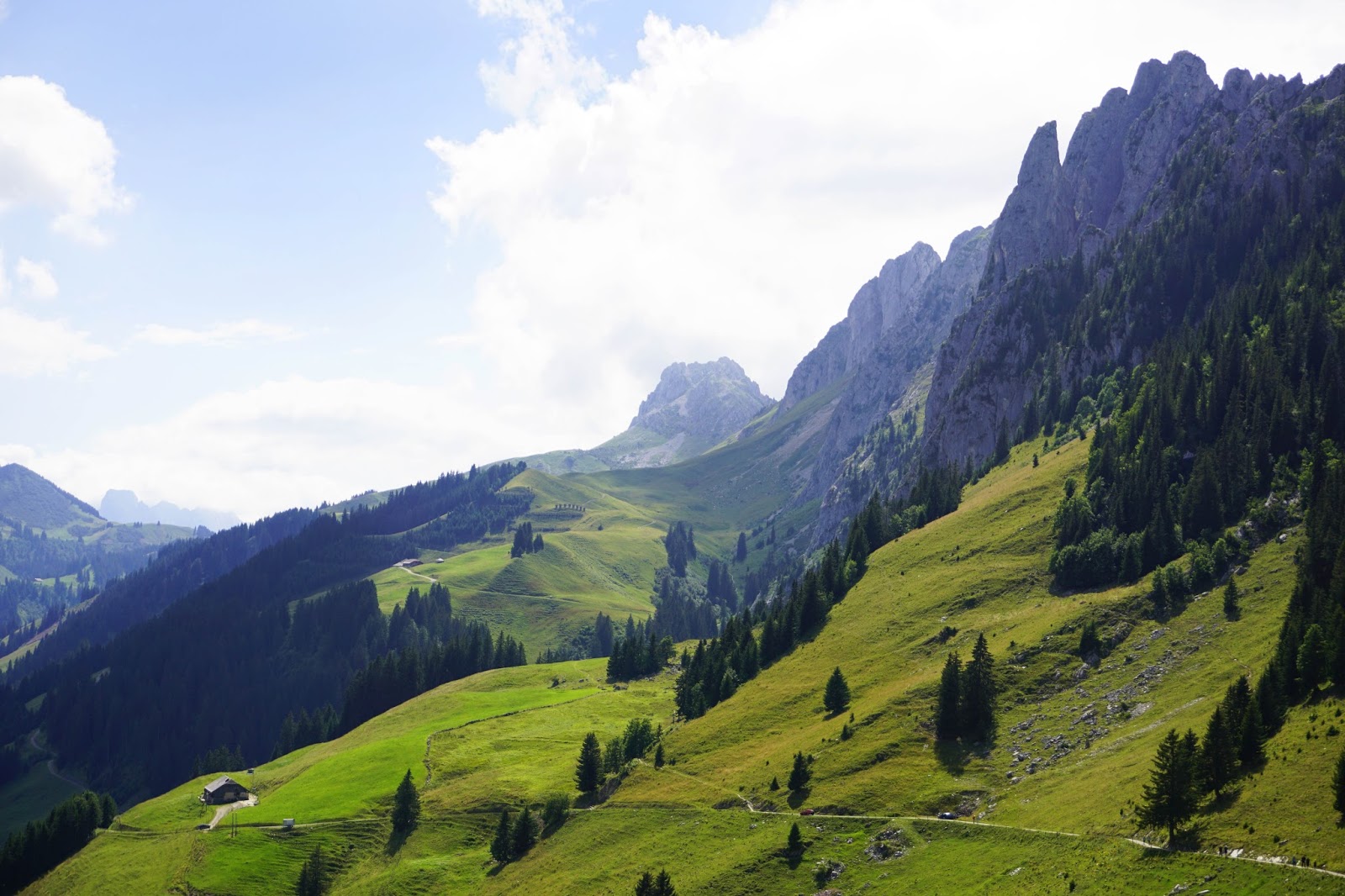 The Food Trotter: Romandy, Switzerland: between Vaud & Fribourg ...