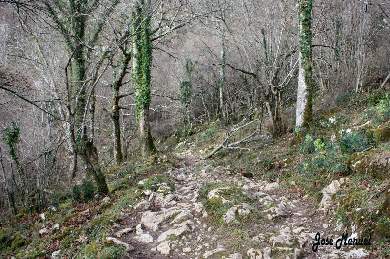 VIVIR EL AIRE LIBRE: COVADONGA - ORANDI
