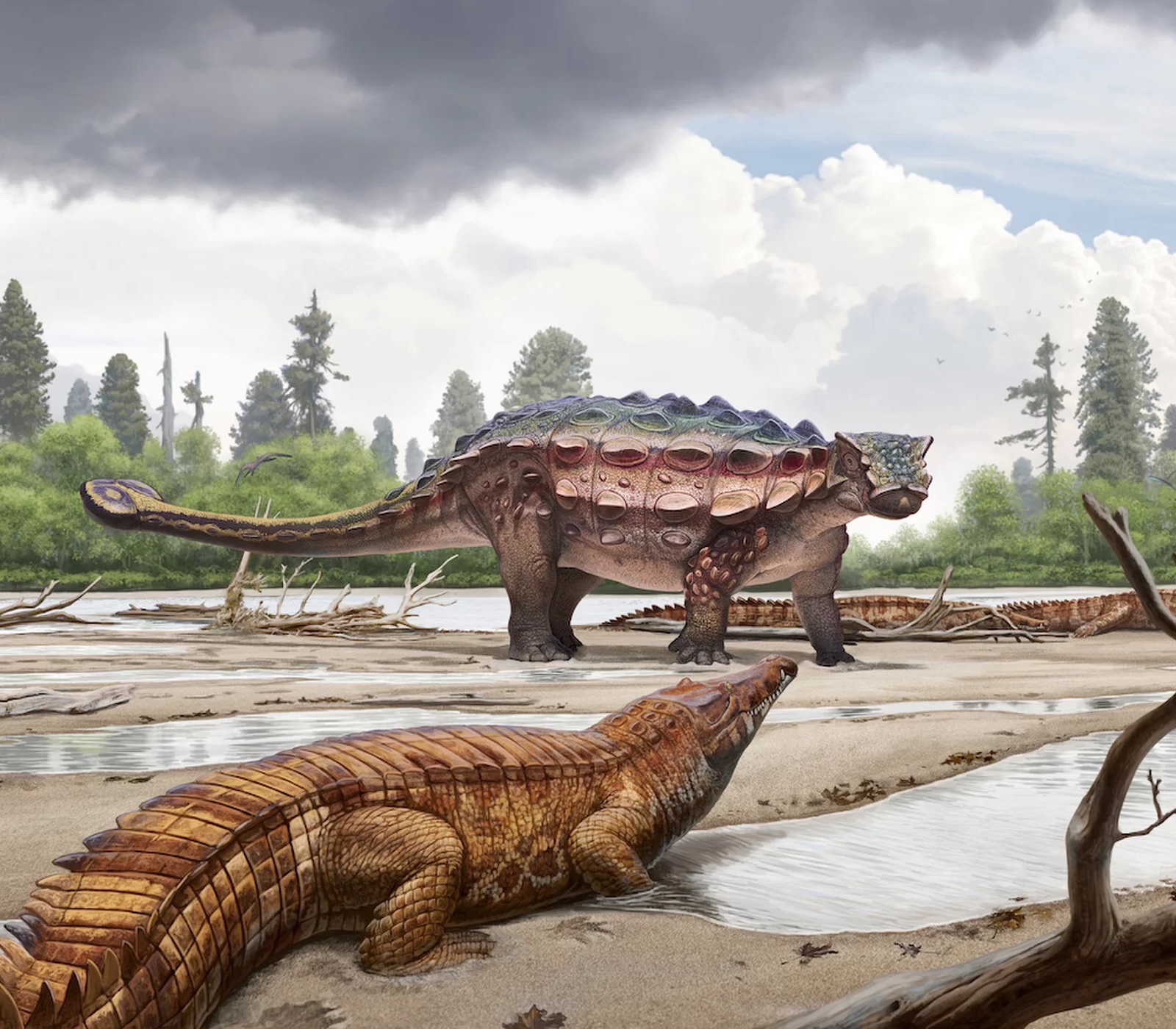 Species New to Science: [Paleontology • 2018] Akainacephalus johnsoni ...