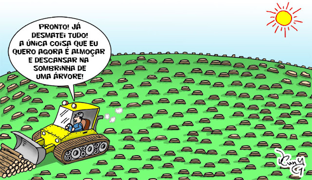 TEIA DA VIDA - CONHECER PARA PRESERVAR!: CHARGES SOBRE MEIO AMBIENTE