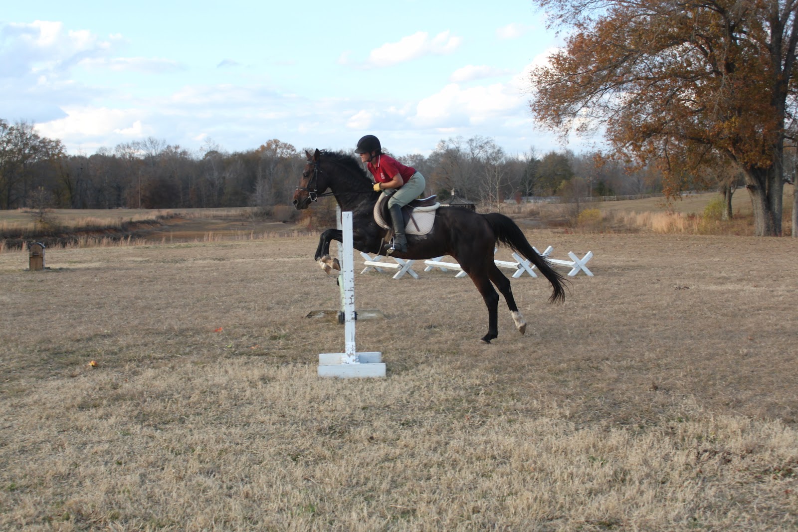 Springstone Horses: Suppleness - Using a Jumping Exercise to Improve ...
