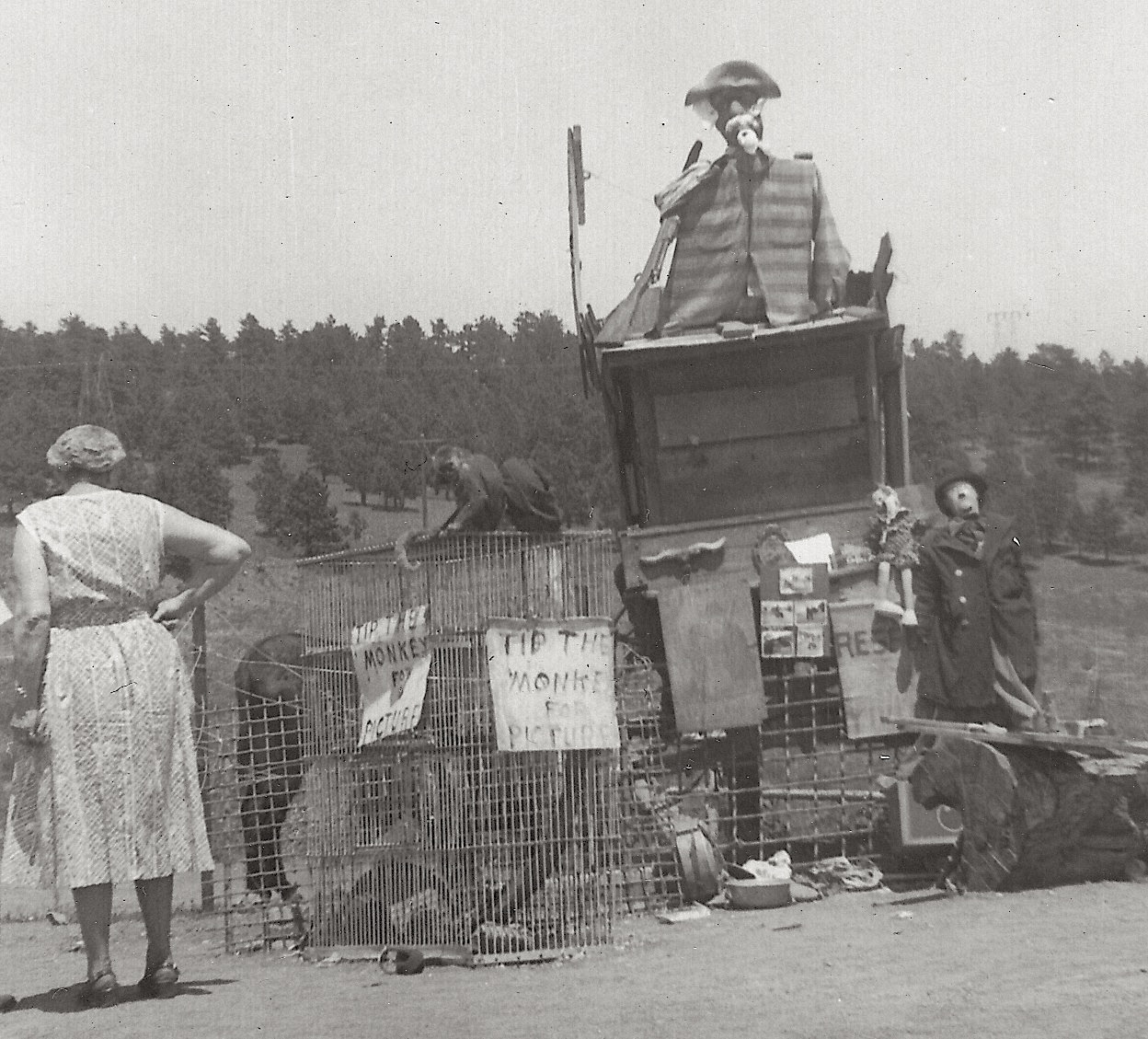 Dull Tool Dim Bulb: American Folk Art in Place: IN - SITU The BOOK by ...