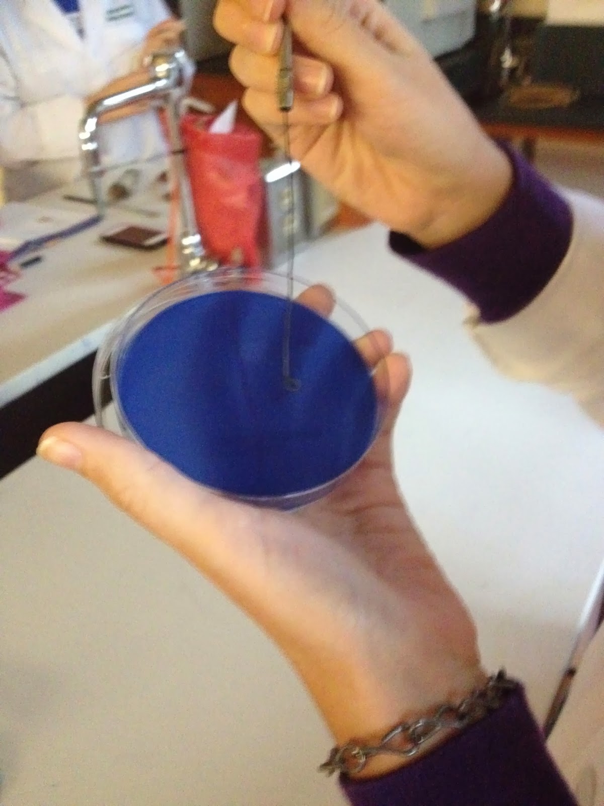 Rose & Lindsey's Medical Microbiology Blog: Fat (Triglyceride ...