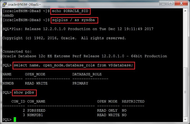 Netsoftmate Technical Blog : Step 5 - Oracle DBCS : Connecting To Compute Node Using PuTTY