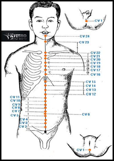 Martial arts - Pressure points: 8. Conception 22 (CV-22)