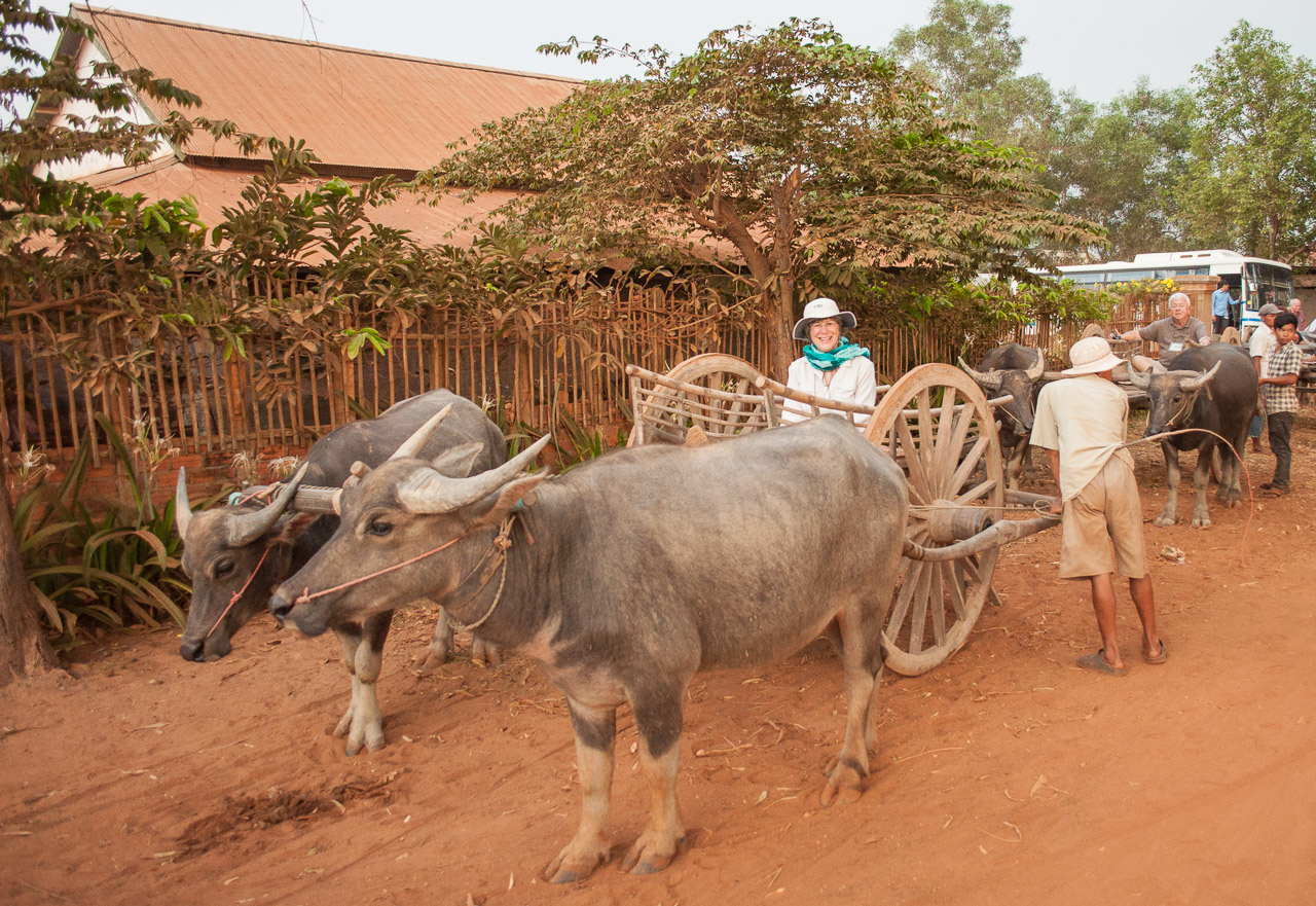Moe and Irene's RTW blog: How to Ride on an Water Buffalo Cart