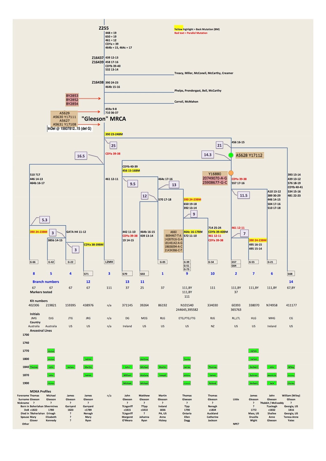 Gleason/Gleeson - Results - FamilyTreeDNA